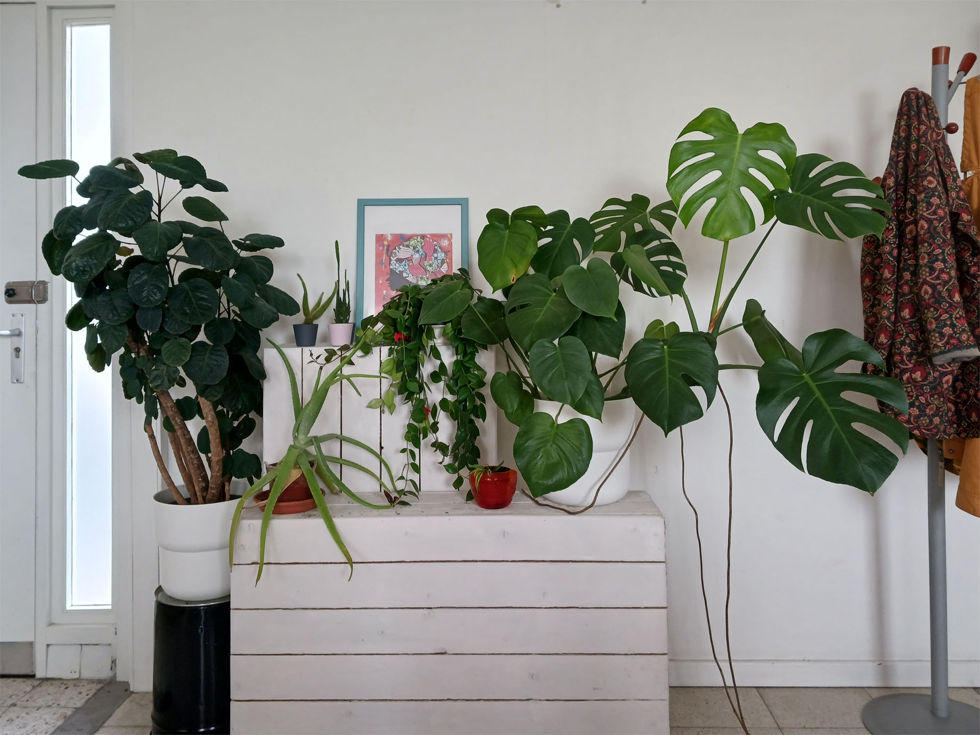 Encc - European Network of Cultural Centres (ENCC)